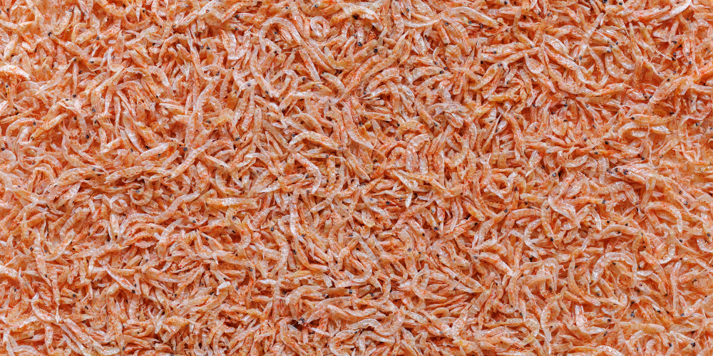Omega-3: krill sustainability certified by IMR and FAO – Omegor.com
