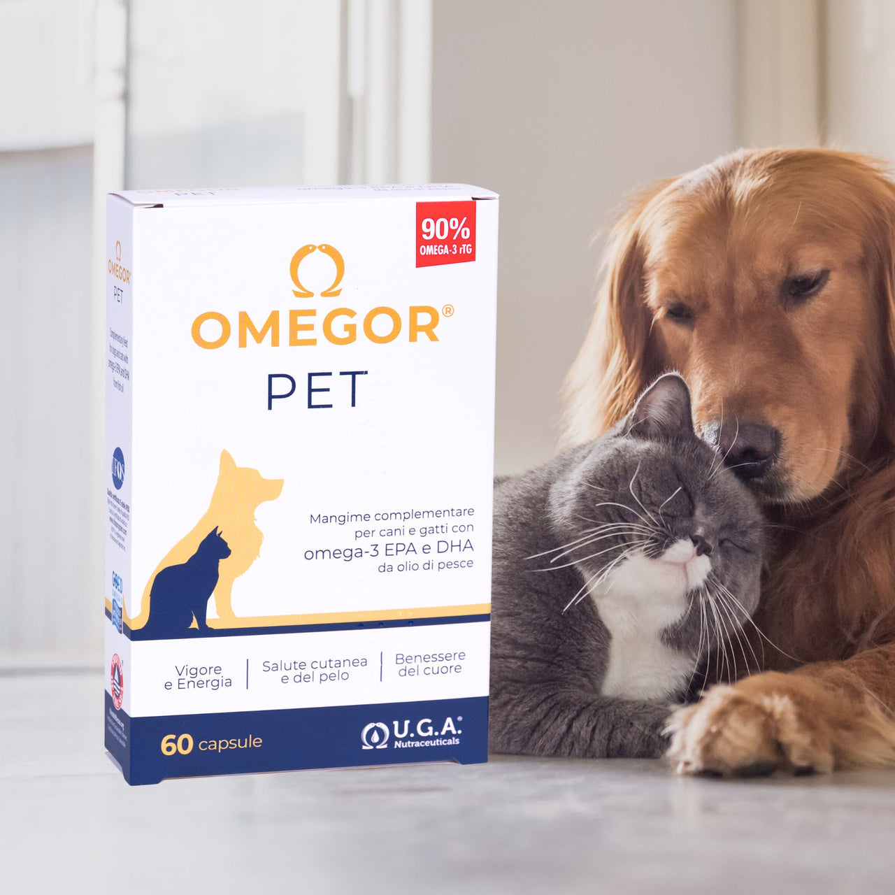 Omega-3 EPA and DHA Supplements | Omegor – Omegor.com